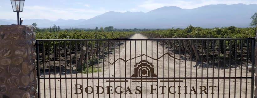 Un bodega sustentable en Cafayate | Descubrir Turismo
