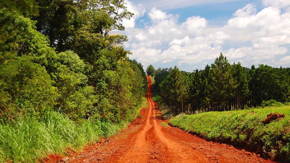 Descubrir Datos: ¿Por qué es roja la tierra de Misiones? | Descubrir ...