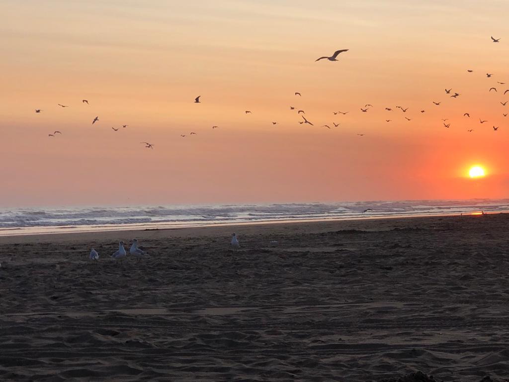 Necochea y la luz de sus playas a lo largo de una tarde | Descubrir Turismo